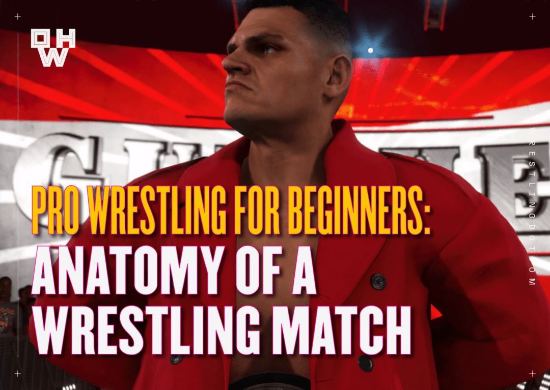 Anatomy of Wrestling Matches: Pro Wrestling for Beginners - Oh,Wrestling